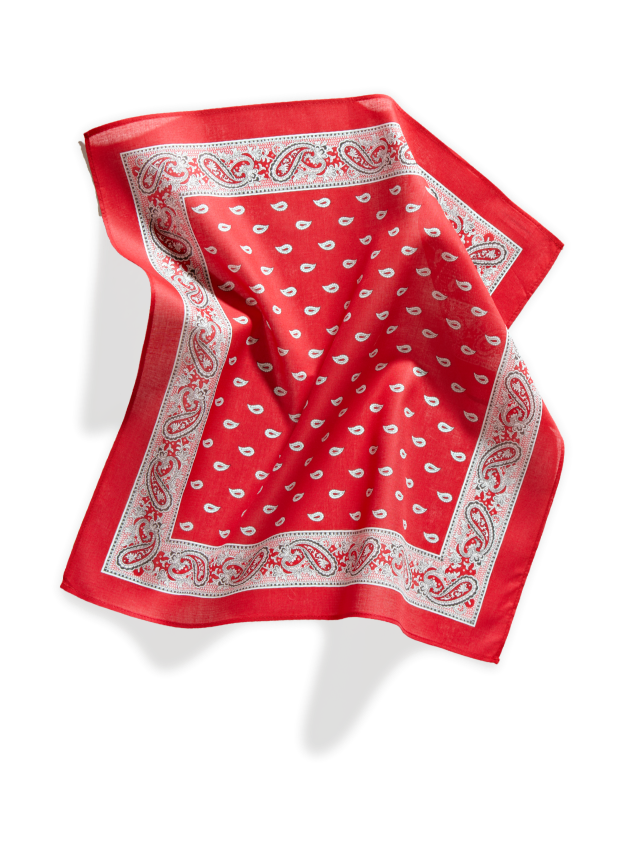 Ziger-Rocker Aelplergaudi & Trottiplausch Kerenzerberg - glarusnord ...